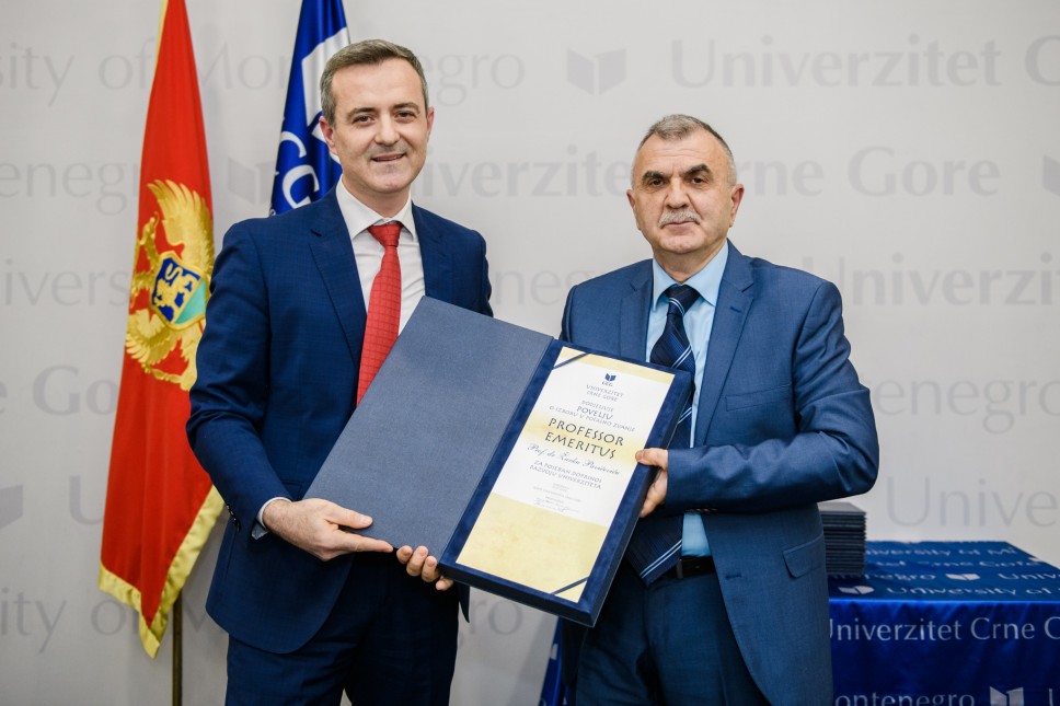 Професор емеритус Жарко Павићевић Моји најбољи математички резултати